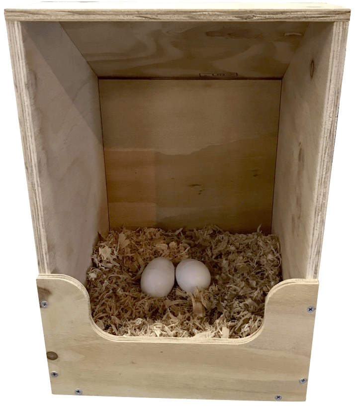 iO Chicken Layer Box Nesting Single Flat pack - PremiumStockFeeds