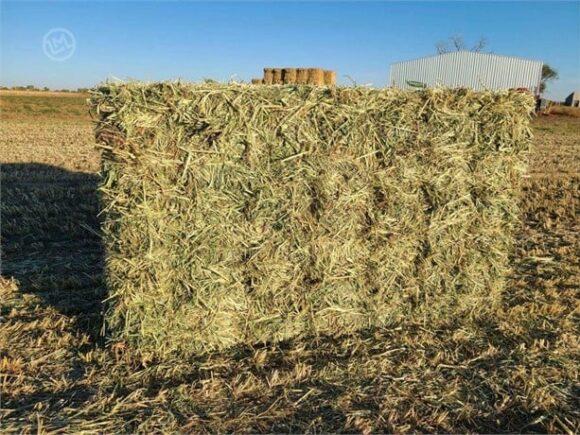 Hay & Chaff - PremiumStockFeeds