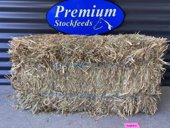 SPECIALS - PremiumStockFeeds