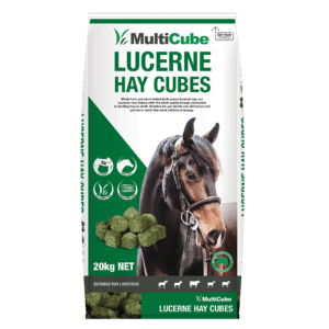 Multicube Lucerne & Teff Cubes - PremiumStockFeeds